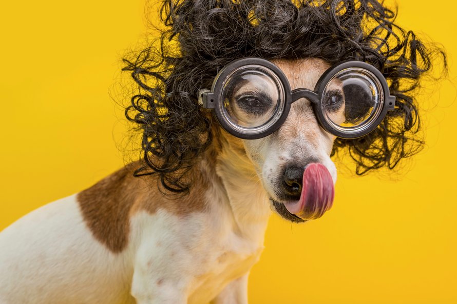 'Waarom ik wil dat mijn kinderen grappig zijn'
