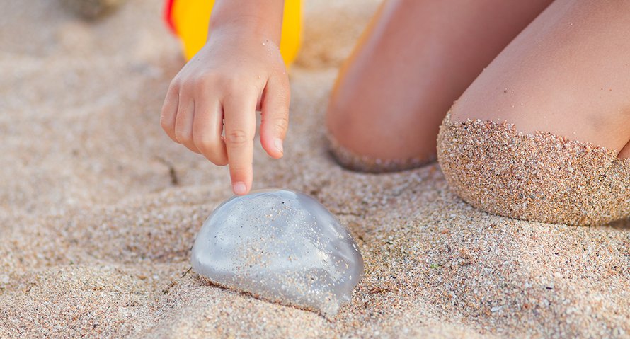 Een kwallenbeet: hoe behandel je die?